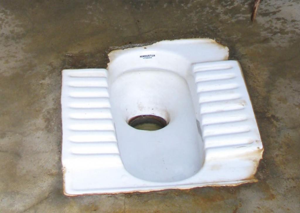 Oral Health - Teeth & Toilets